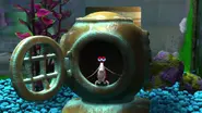List of Species in Finding Nemo | NatureRules1 Wiki | Fandom