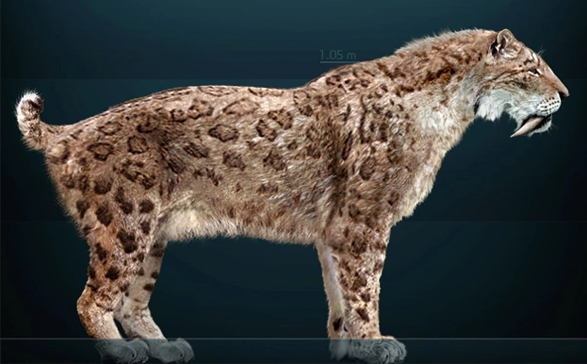 Smilodon | NatureRules1 Wiki | Fandom