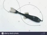 Category:Anglerfish | NatureRules1 Wiki | Fandom
