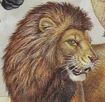 Leo the Wildlife Ranger | NatureRules1 Wiki | Fandom