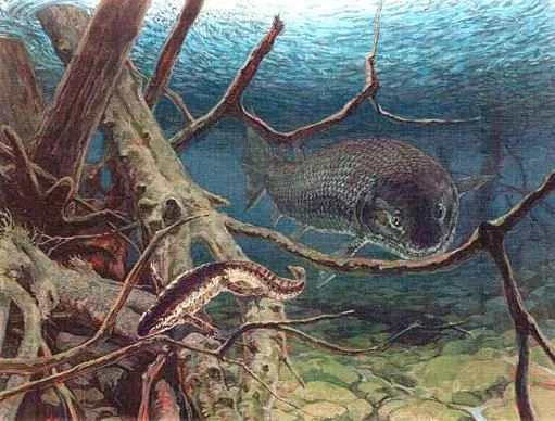 Hyneria | NatureRules1 Wiki | Fandom