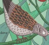 European Turtle Dove | NatureRules1 Wiki | Fandom