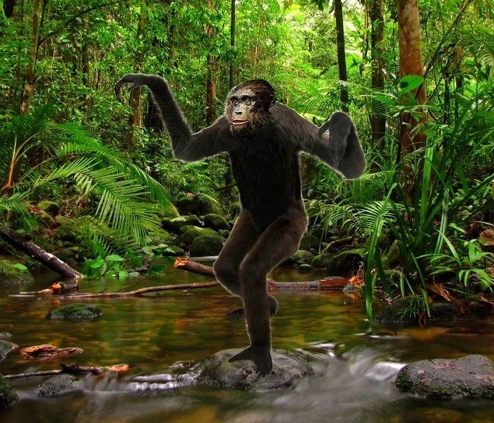 Nakalipithecus | NatureRules1 Wiki | Fandom