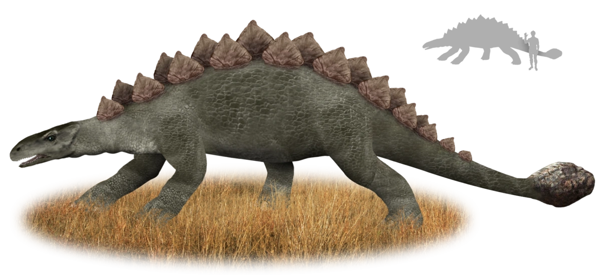 Muhuru | NatureRules1 Wiki | Fandom