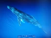 Oceans (2009) | NatureRules1 Wiki | Fandom