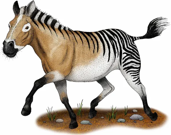 Hagerman Horse | NatureRules1 Wiki | Fandom