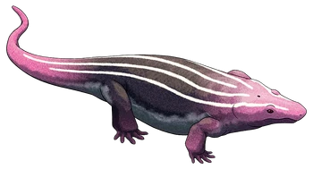 Limnoscelis | NatureRules1 Wiki | Fandom