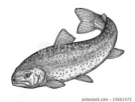 Amemasu | NatureRules1 Wiki | Fandom