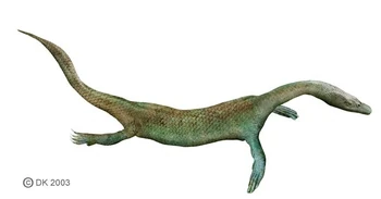 Ceresiosaurus | NatureRules1 Wiki | Fandom