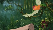 List of Species in Tarzan | NatureRules1 Wiki | Fandom