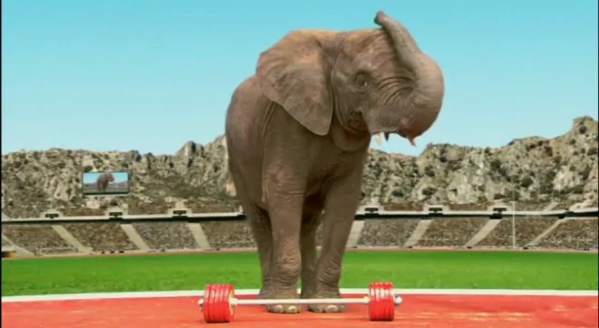 Stanley | NatureRules1 Wiki | Fandom