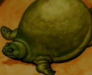 Asian Giant Softshell Turtle | NatureRules1 Wiki | Fandom