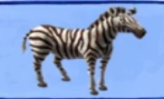 Plains Zebra | NatureRules1 Wiki | Fandom