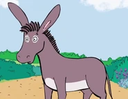 Provence Donkey | NatureRules1 Wiki | Fandom