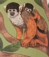 Black-capped Squirrel Monkey | NatureRules1 Wiki | Fandom
