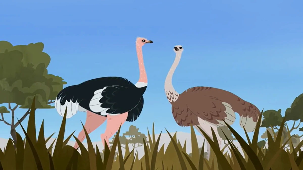 The Private Life of Plants | NatureRules1 Wiki | Fandom