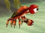 Puget Sound King Crab | NatureRules1 Wiki | Fandom