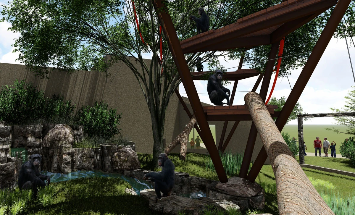 Primate Forest | NatureRules1 Wiki | Fandom