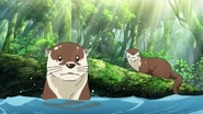 African Clawless Otter | NatureRules1 Wiki | Fandom