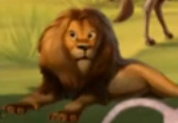 Lion | NatureRules1 Wiki | Fandom