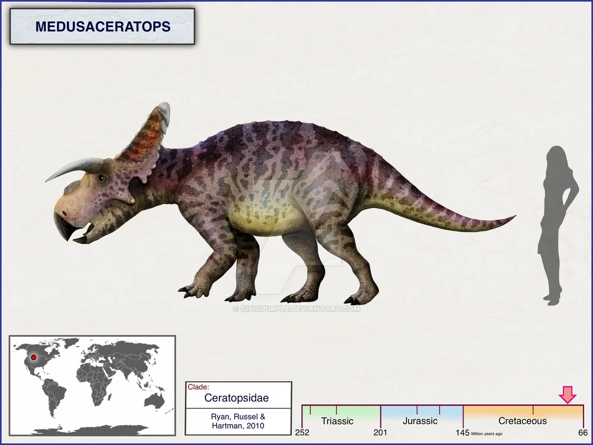 Medusaceratops | NatureRules1 Wiki | Fandom