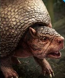 Doedicurus | NatureRules1 Wiki | Fandom