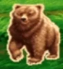 Brown Bear | NatureRules1 Wiki | Fandom