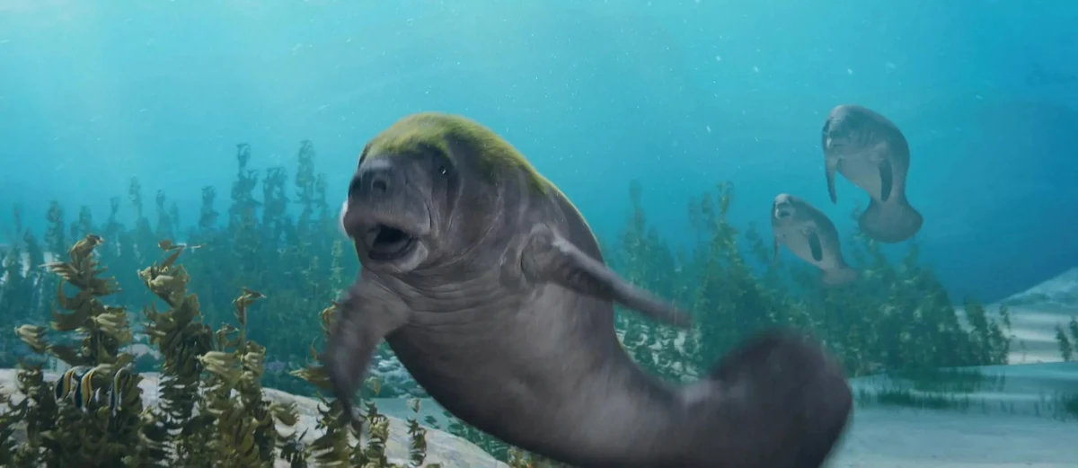 Manatee Pool | NatureRules1 Wiki | Fandom