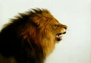 List of Species in Amazing Animals | NatureRules1 Wiki | Fandom
