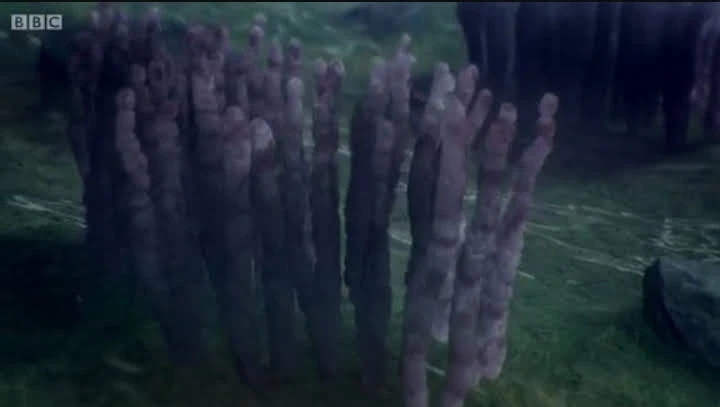 Funisia | NatureRules1 Wiki | Fandom