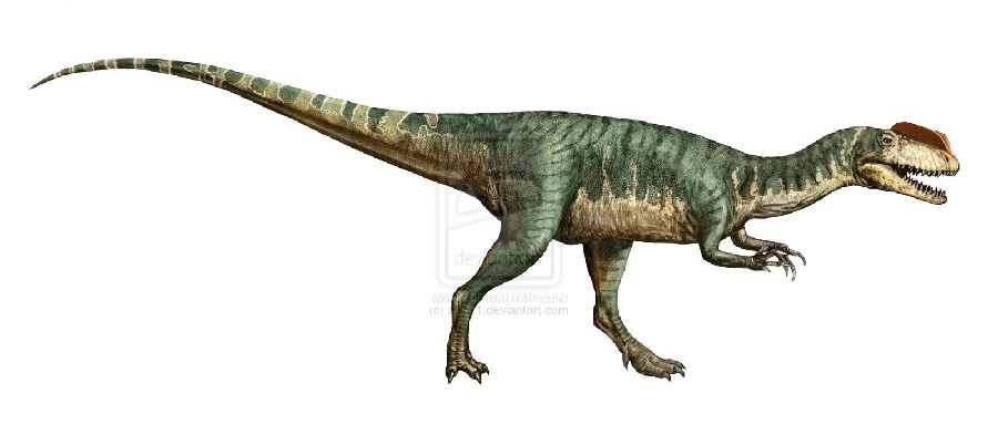 Sinosaurus | NatureRules1 Wiki | Fandom