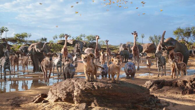 NatureRules1 Wiki | Fandom