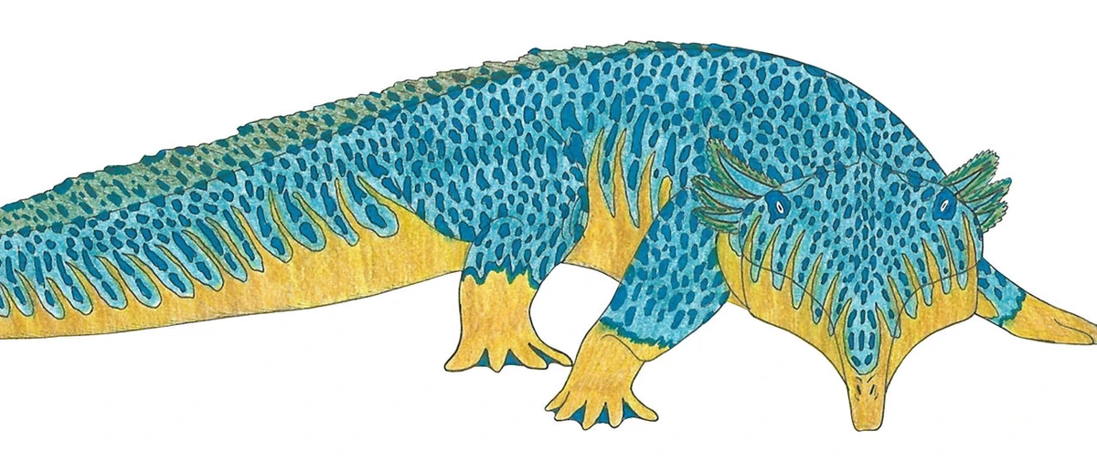 Bageherpeton | NatureRules1 Wiki | Fandom