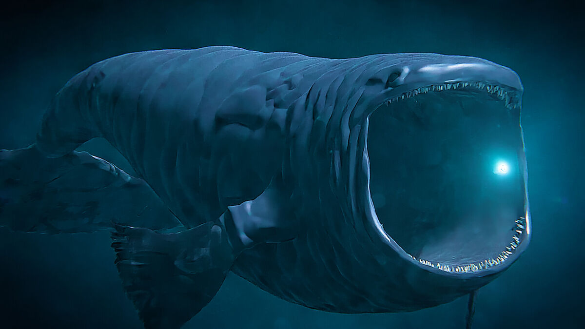 Bloop | NatureRules1 Wiki | Fandom