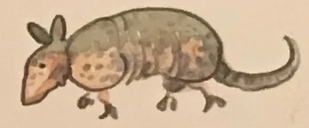 Nine-banded Armadillo/Books | NatureRules1 Wiki | Fandom