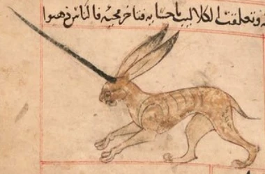 Al-mi'raj | NatureRules1 Wiki | Fandom