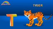Bengal Tiger | NatureRules1 Wiki | Fandom