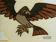 Red-tailed Hawk | NatureRules1 Wiki | Fandom