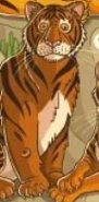 Malayan Tiger | NatureRules1 Wiki | Fandom