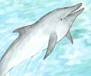 Magic Arch 3D | NatureRules1 Wiki | Fandom