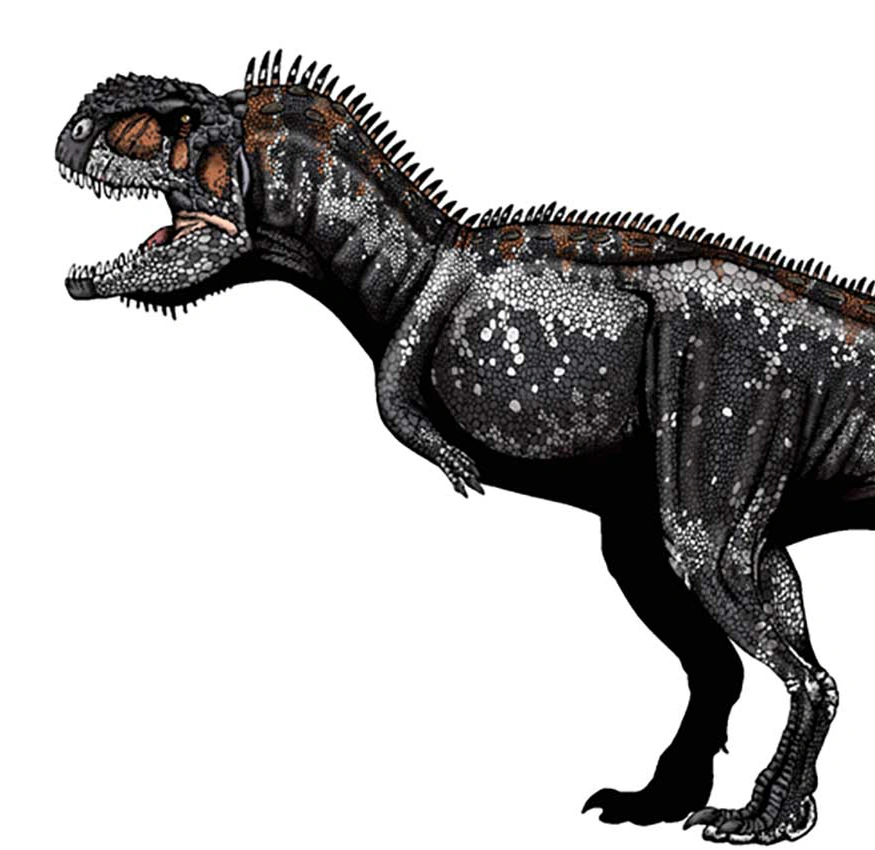 Pycnonemosaurus | NatureRules1 Wiki | Fandom