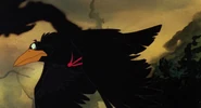 American Crow | NatureRules1 Wiki | Fandom