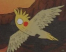 Cockatiel | NatureRules1 Wiki | Fandom