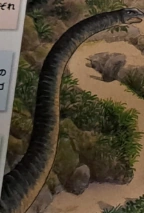 Dinosaur Dictionary Animals Alphabet | NatureRules1 Wiki | Fandom