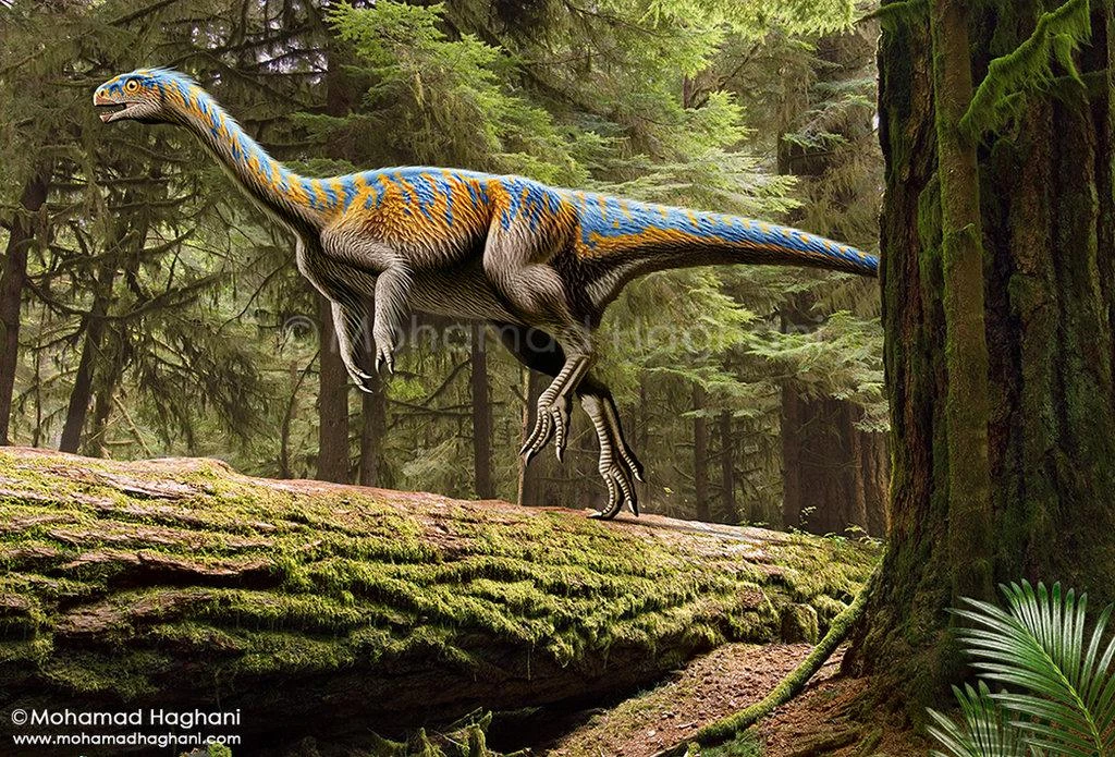 Chilesaurus | NatureRules1 Wiki | Fandom