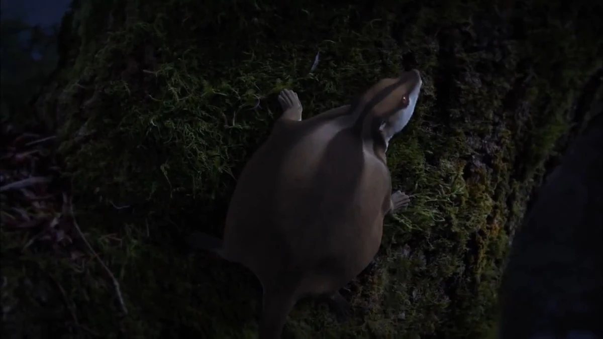 Volaticotherium | NatureRules1 Wiki | Fandom