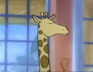 Reticulated Giraffe | NatureRules1 Wiki | Fandom