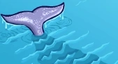 Blue Whale | NatureRules1 Wiki | Fandom