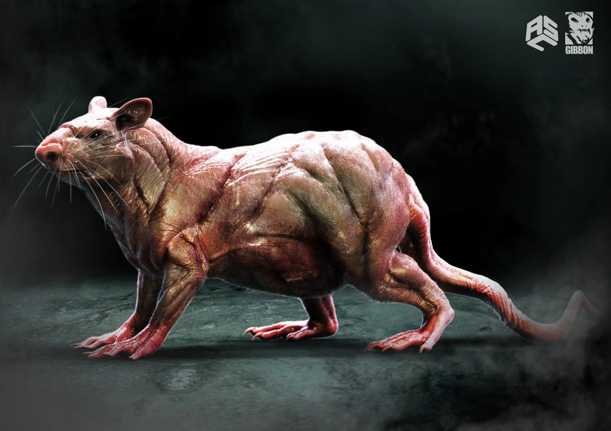 Monster Rat | NatureRules1 Wiki | Fandom