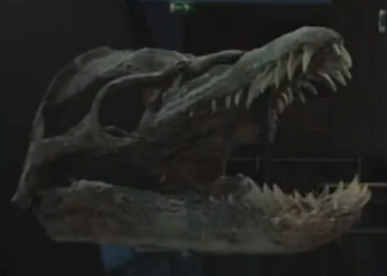 Megalneusaurus | NatureRules1 Wiki | Fandom